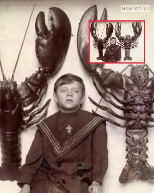 From "Poor Man's Chicken" to Luxury: Did You Know Lobsters Were Once ...