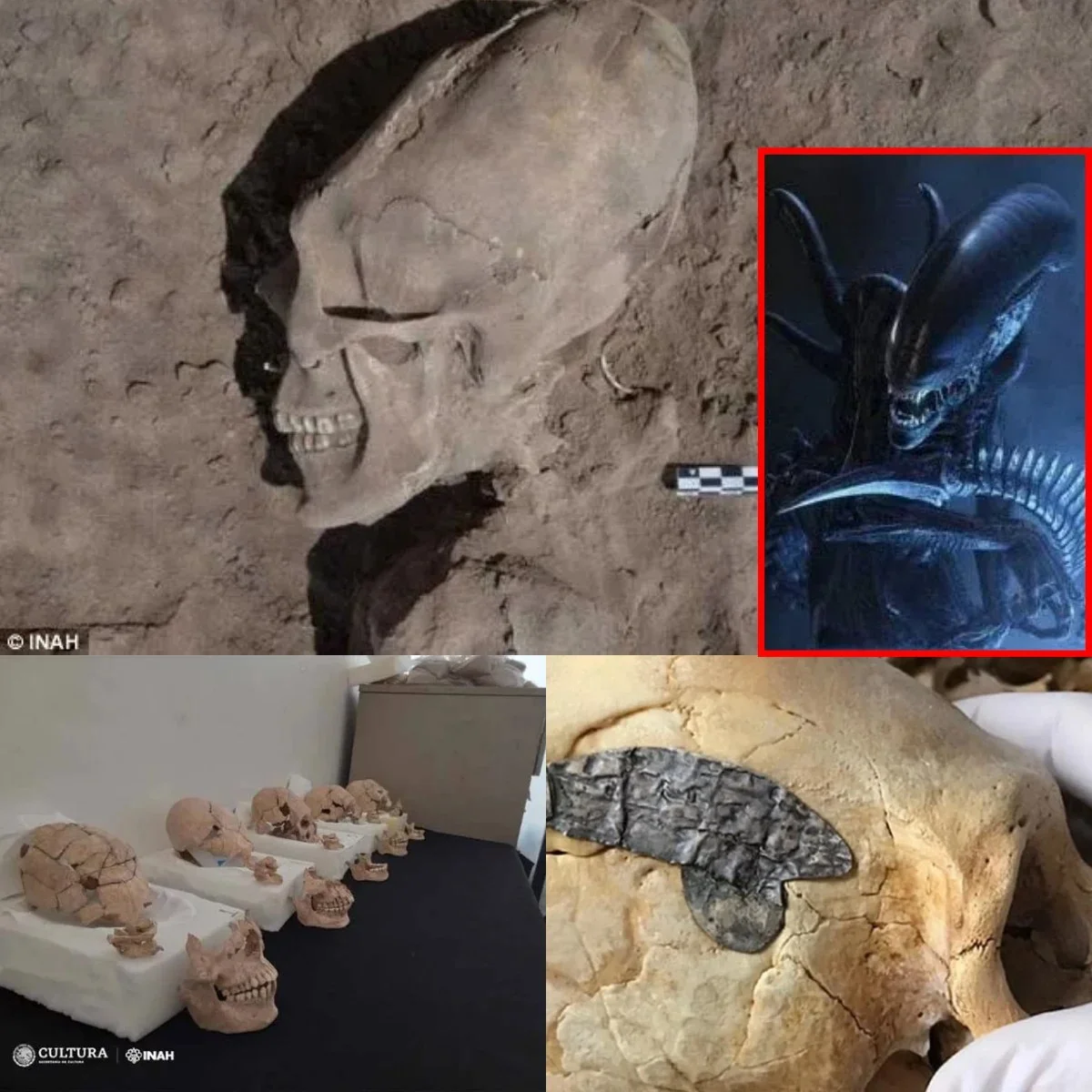 Mexico’s Alien Skeletons: UFO Evidence in Bones?