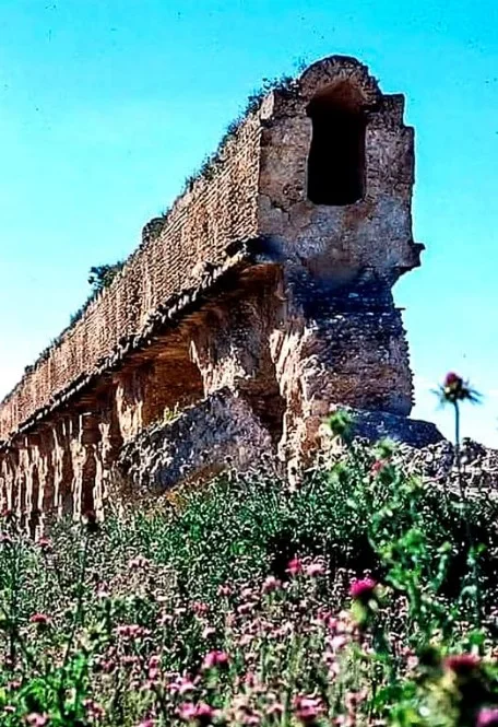 A 130KM Gravity-Defying Pipeline: Rome's Unsung Engineering Masterpiece ...