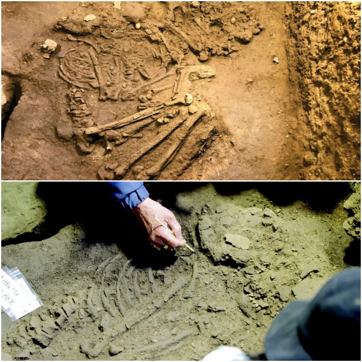 Ancient Human Remains from 10,000 Years Ago Discovered in Vietnam