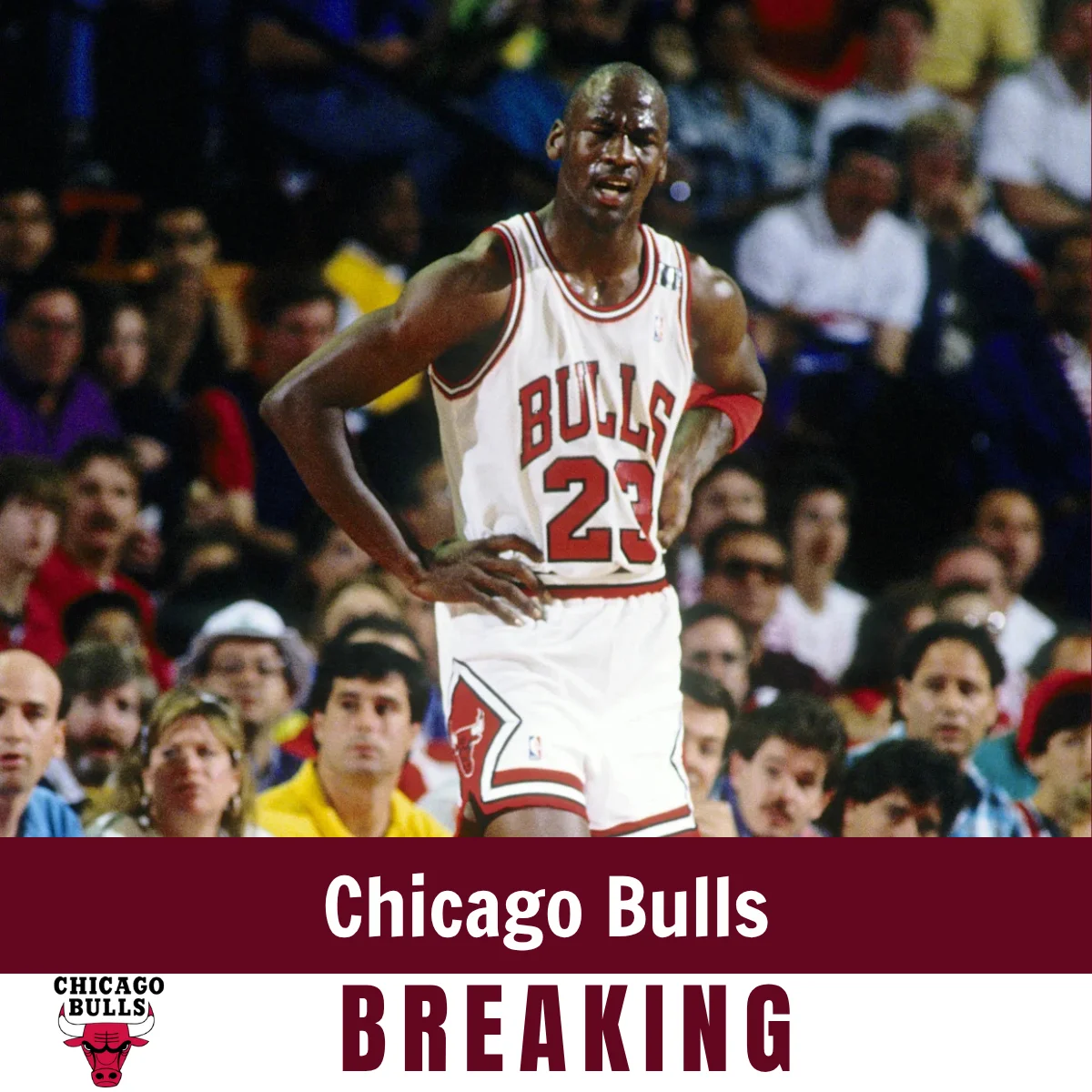 HISTORY UNVEILED: Never-Before-Seen Michael Jordan Autograph STUNS ...
