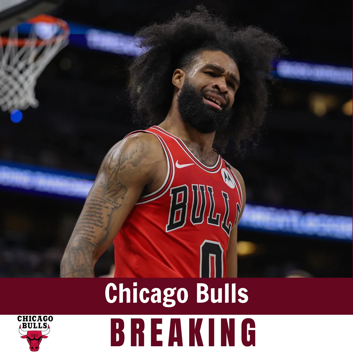 BULLS NATION IN DISBELIEF: Front Office Makes Stunning Move to Sidestep ...