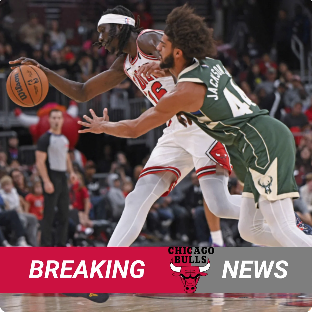 SHOCKING CUT: Bulls Abruptly End Second-Year Project, Sending ...