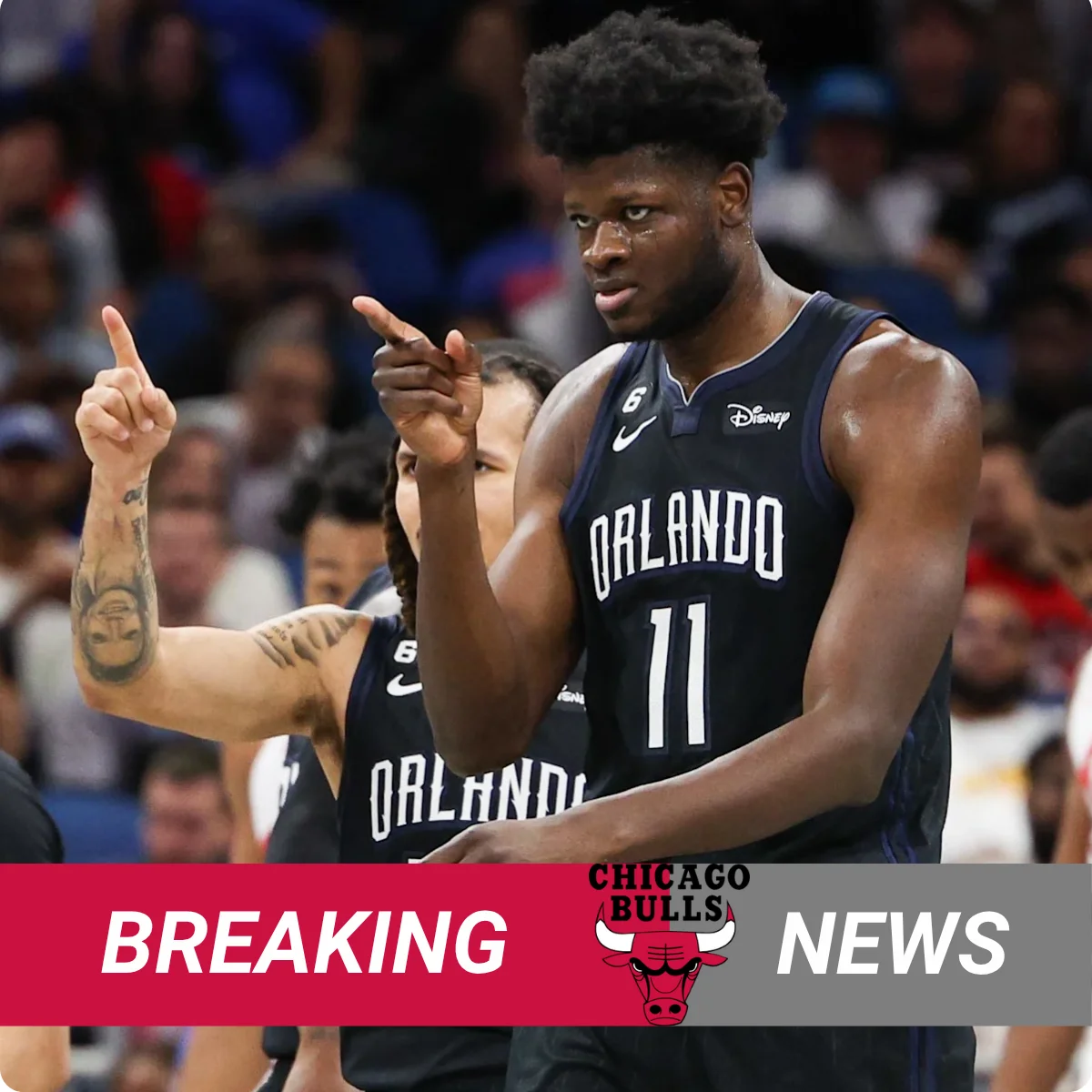 BREAKING! Chicago Just Stumbled Upon a GIANT to Replace Zach Collins ...