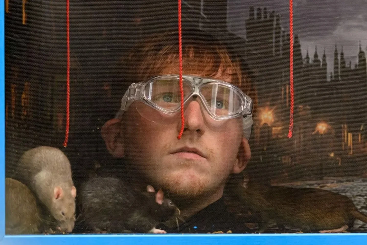 THE WHOLE STUDIO IS STUNNED! From Ginger Rage to Secret Weapon: How He ...